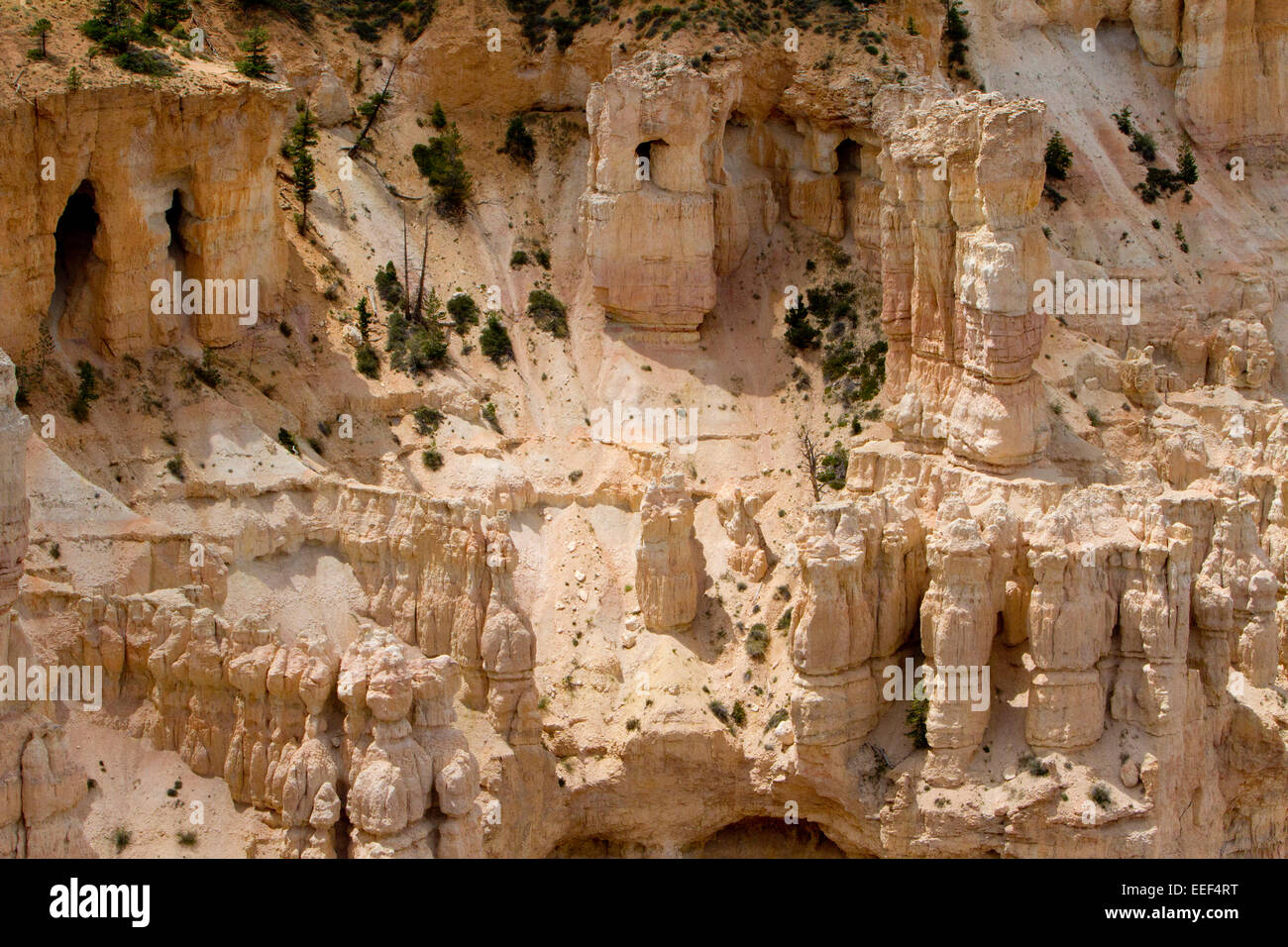 Scenic view of hoodoos & other limestone rock formations from Bryce ...