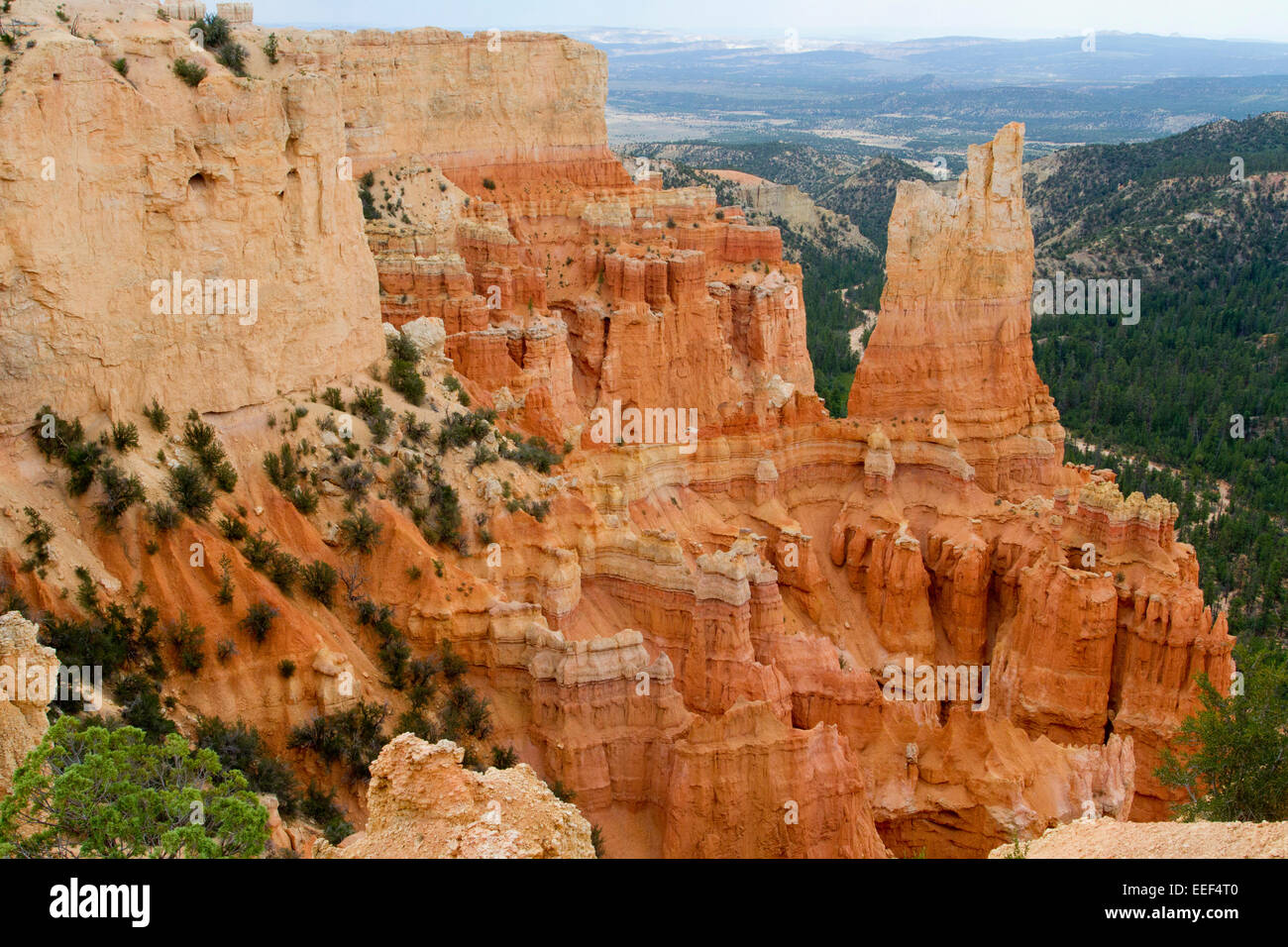 Scenic view of hoodoos & other limestone rock formations from Paria ...