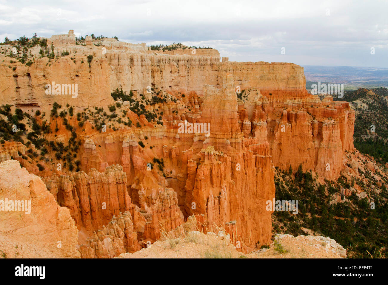 View hoodoos in amphitheater hi-res stock photography and images - Alamy