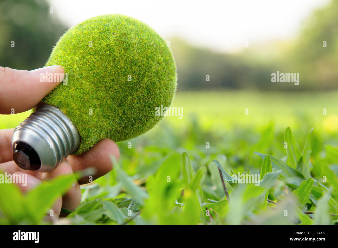 eco light bulb concept Stock Photo - Alamy