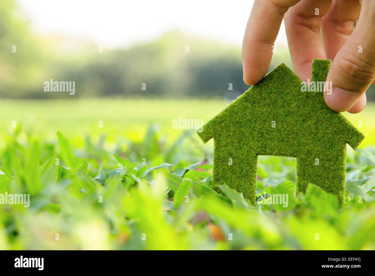 Hand holding green house icon Stock Photo - Alamy