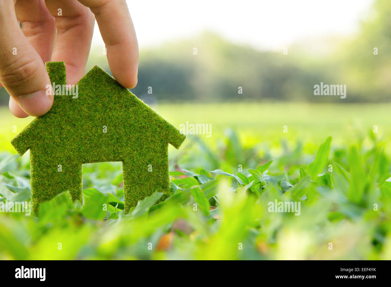 Holding green house hi-res stock photography and images - Alamy