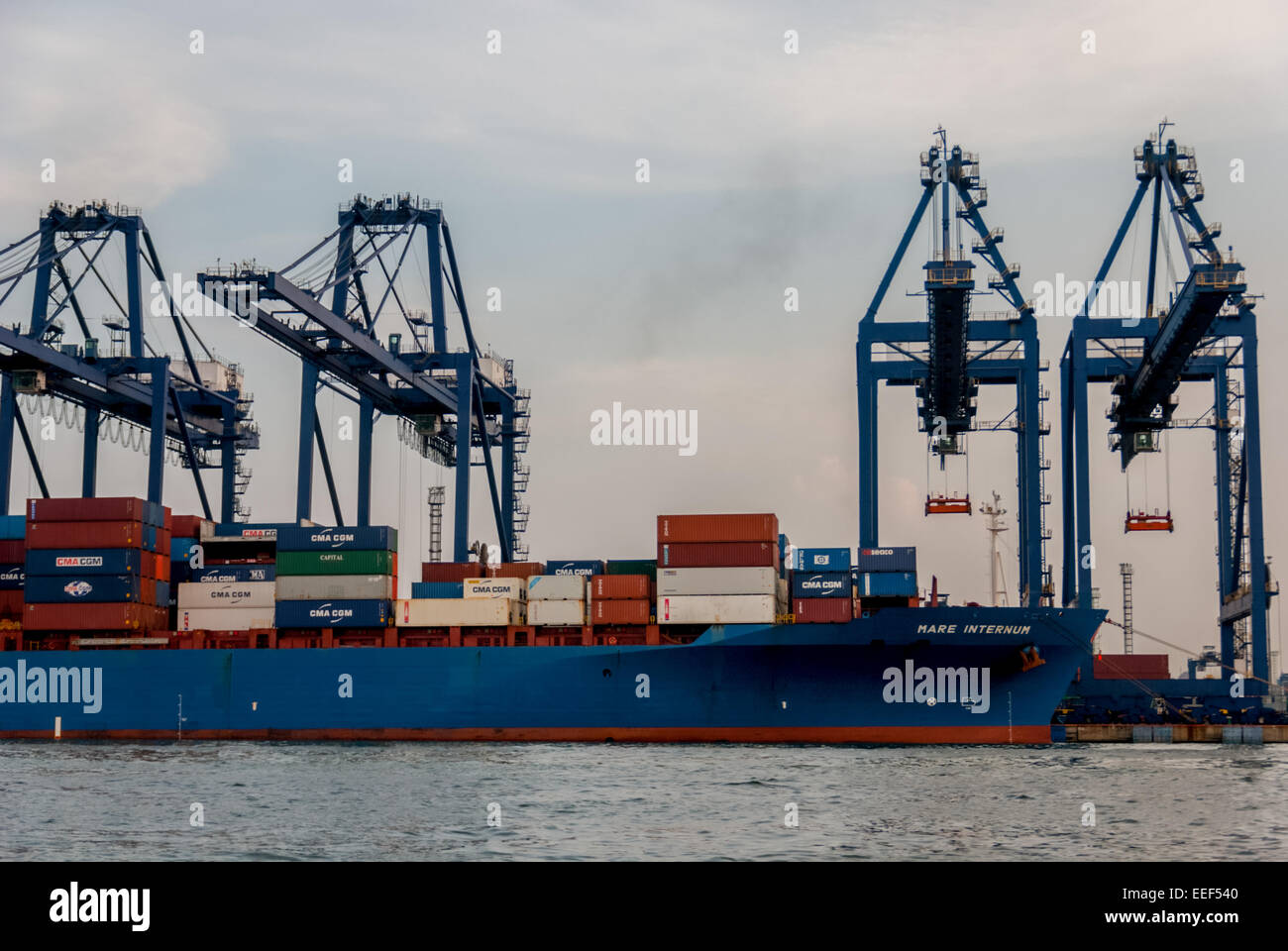 Hammonia internum hi-res stock photography and images - Alamy