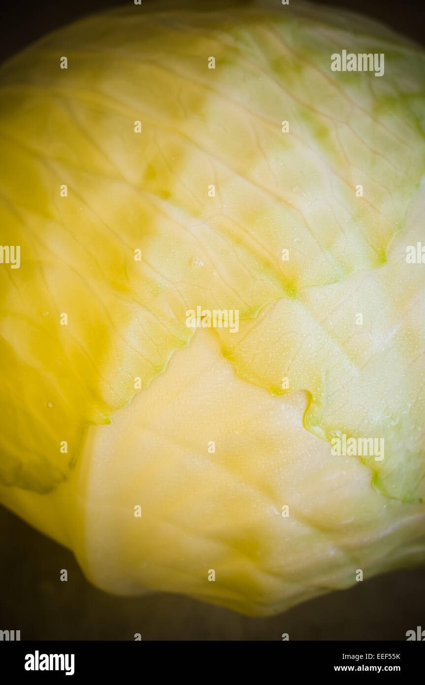 Water cabbages hi-res stock photography and images - Alamy