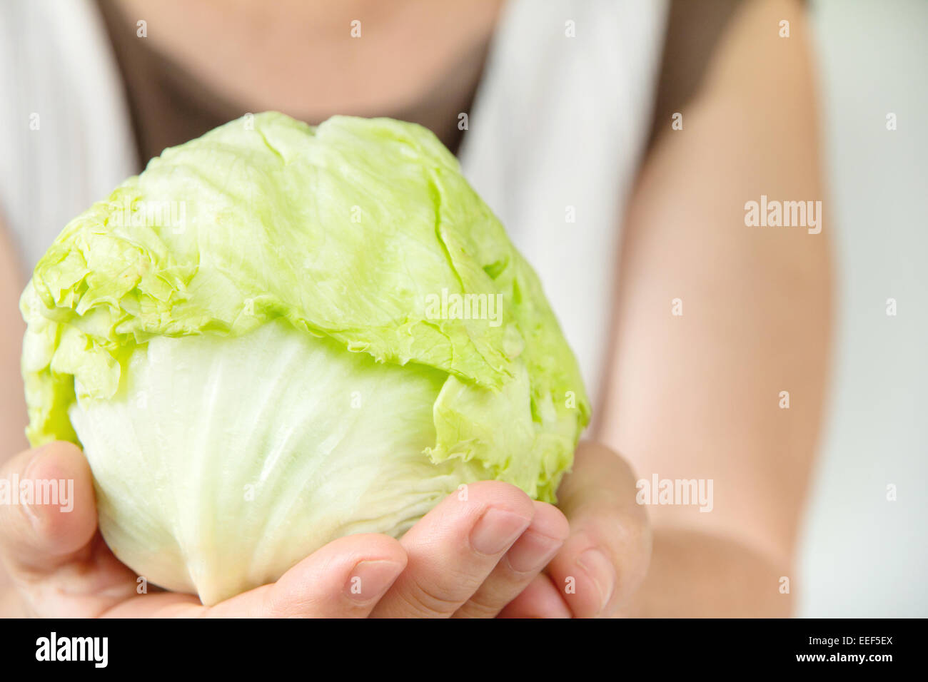 hand holding fresh cabbage Stock Photo - Alamy