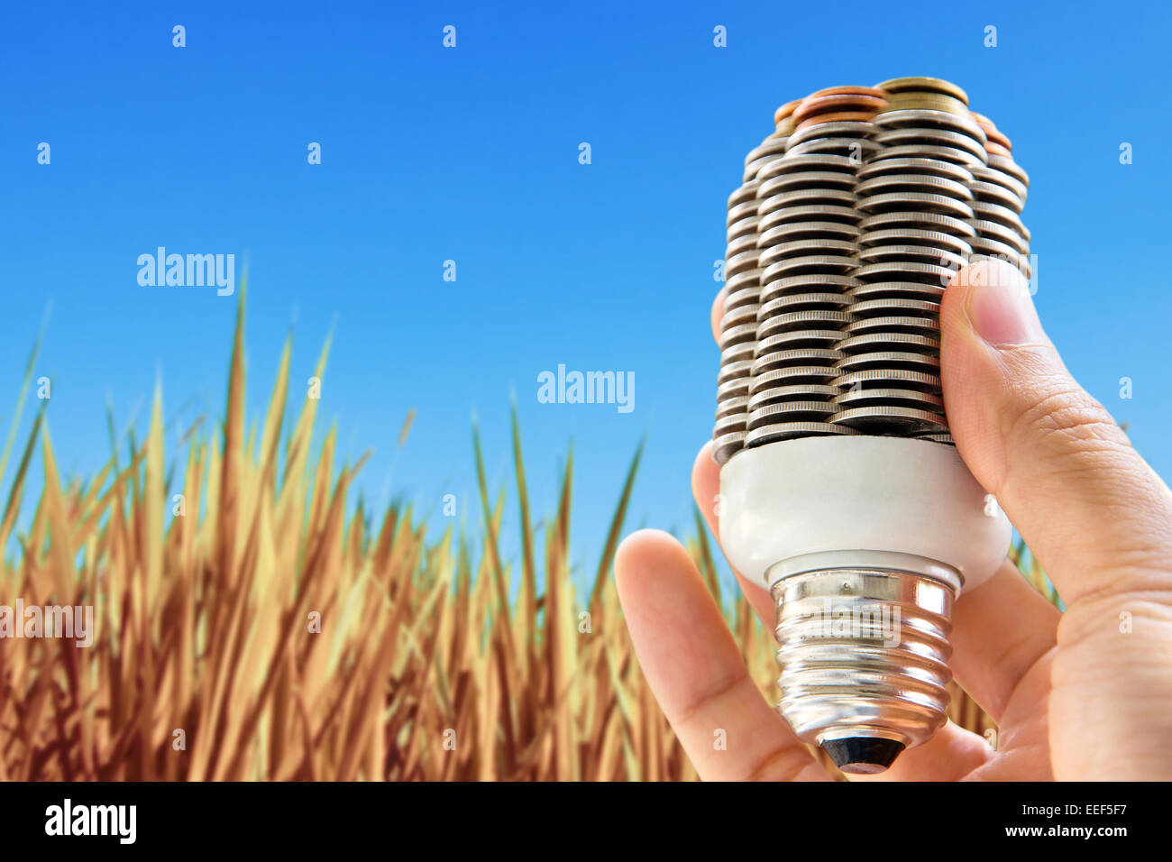 coin light bulb concept Stock Photo - Alamy