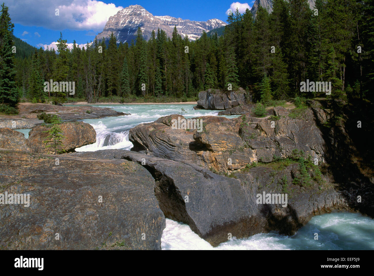 Natural bridge yoho national park hi-res stock photography and images ...
