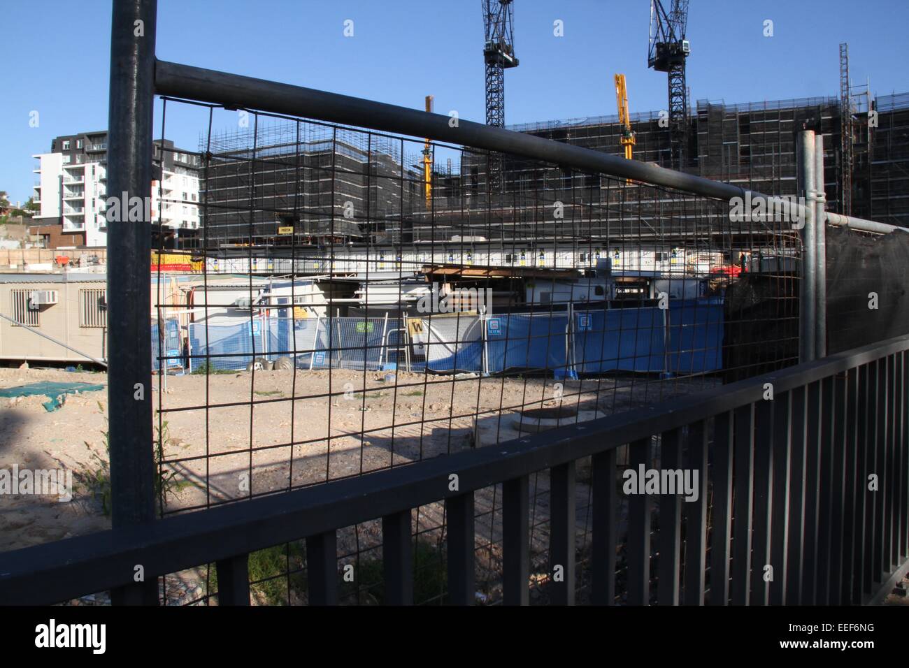 The construction site at the new Harold Park development in Forest ...