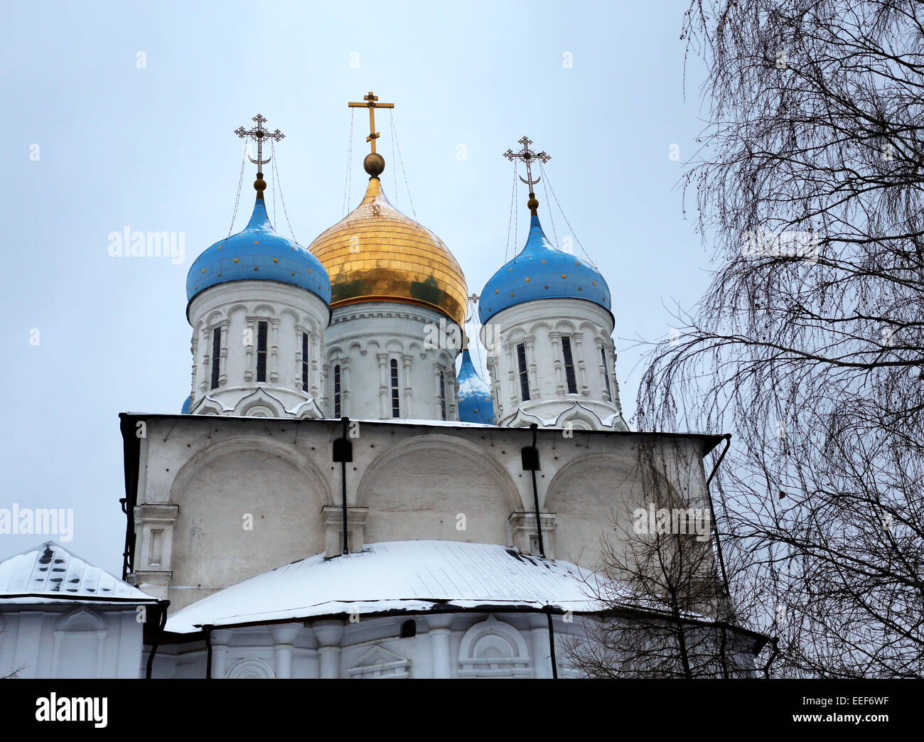 Savior Transfiguration Cathedral in Novospassky Monastery in Moscow ...