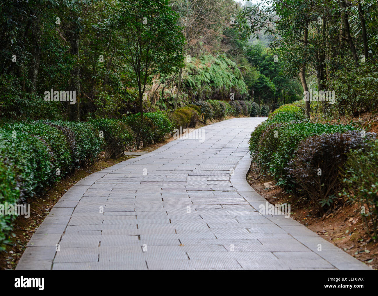 Walking way and road way Stock Photo - Alamy