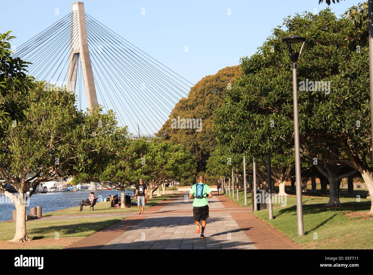 Glebe foreshore park hi-res stock photography and images - Alamy