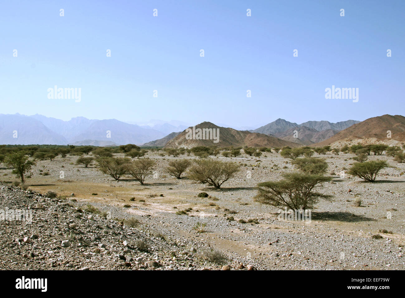 Arabische halbinsel hi-res stock photography and images - Alamy