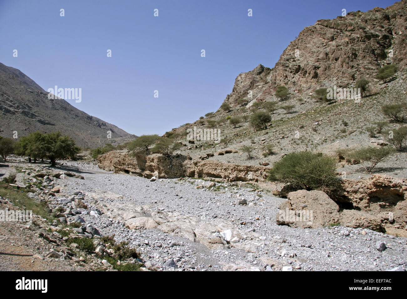 Sultanat Oman Reisen Wadi Flussbett Ausgetrocknet Berge Haja Gebirge ...