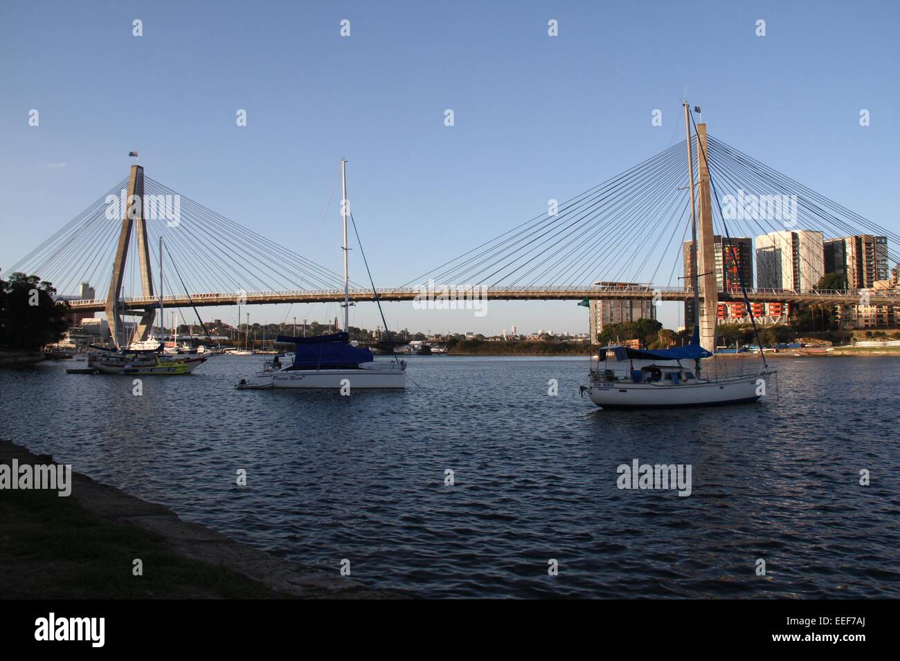 The ANZAC Bridge just before sunset – Glebe, Sydney, Australia Stock ...