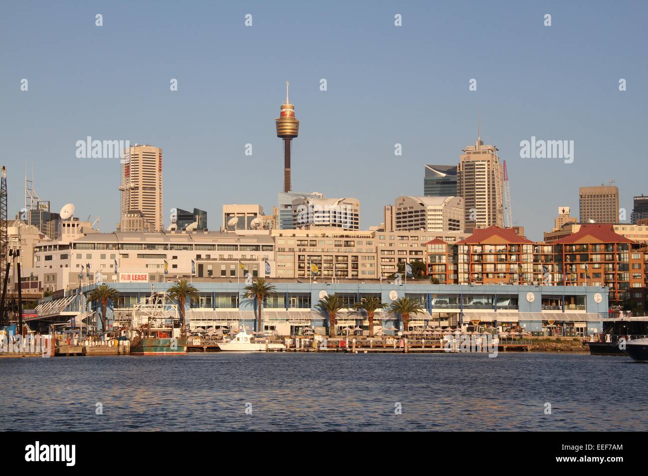 The blue building of the Sydney Fish Market in Pyrmont, viewed from ...