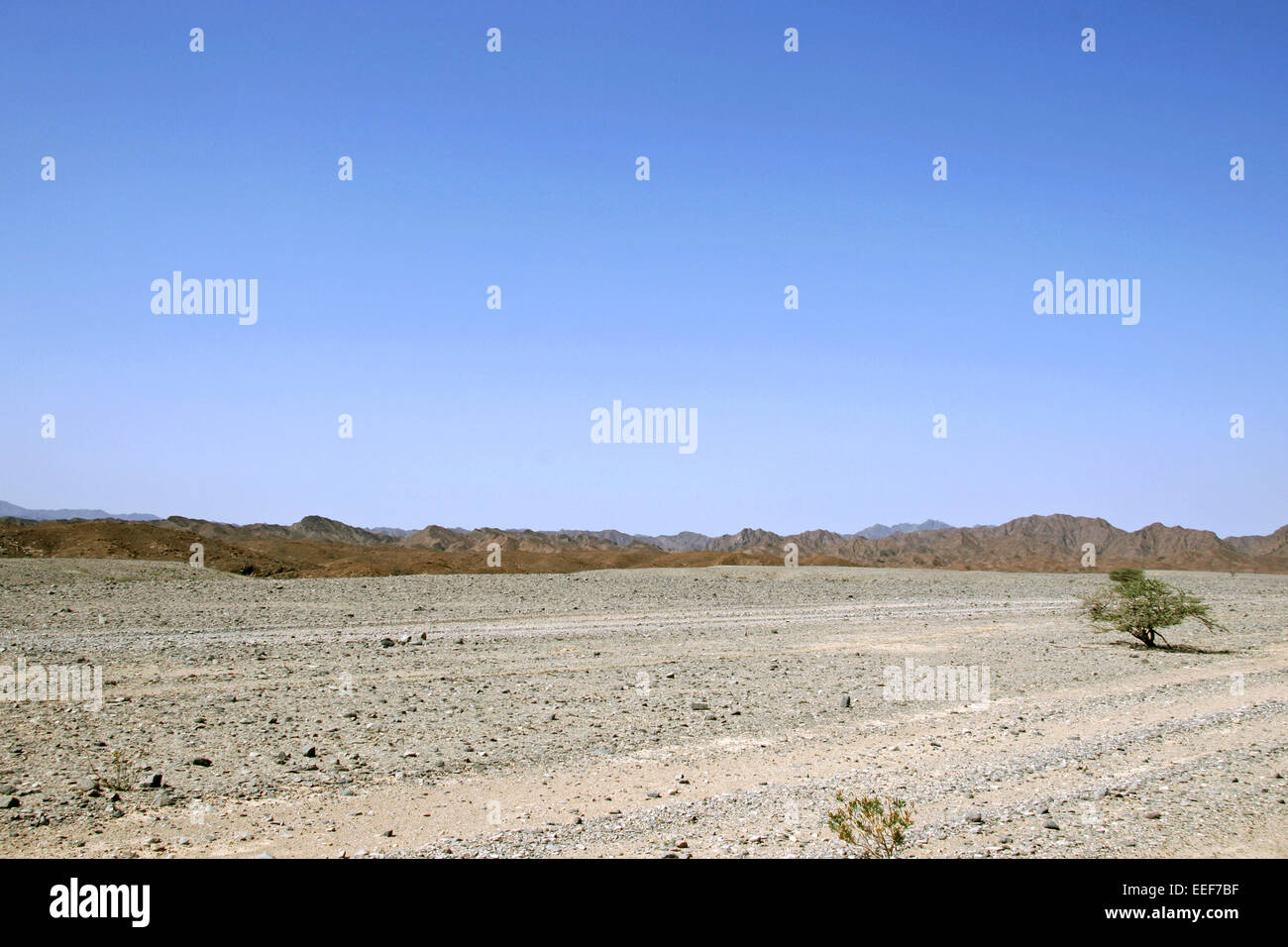 Sultanat Oman Reisen Wadi Mistal Berge Landschaft Hajar Gebirge ...