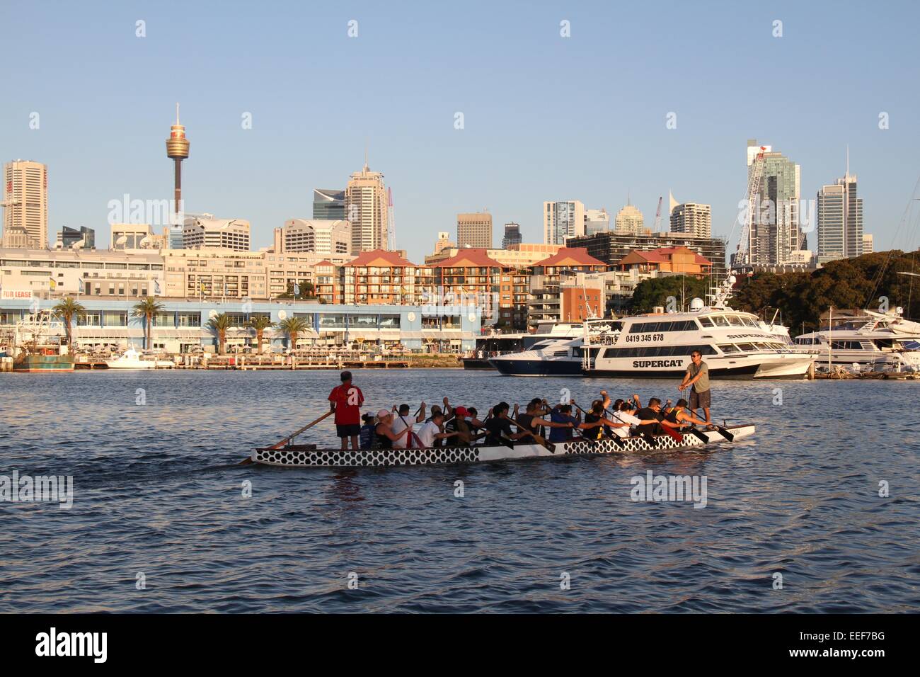 People training for dragon boat racing just before sunset on Sydney ...