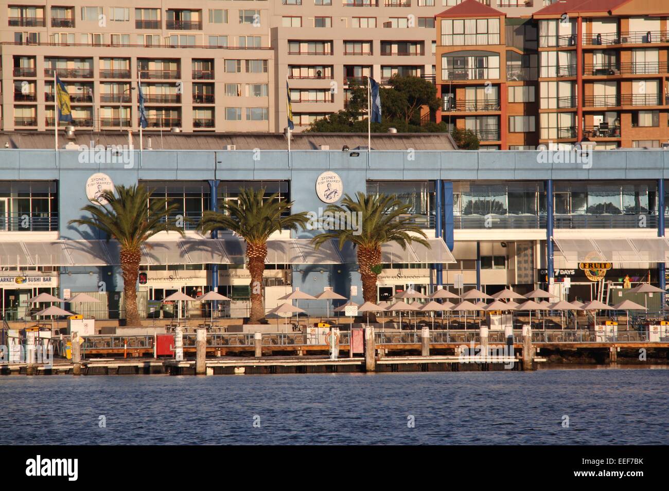 The blue building of the Sydney Fish Market in Pyrmont, viewed from ...