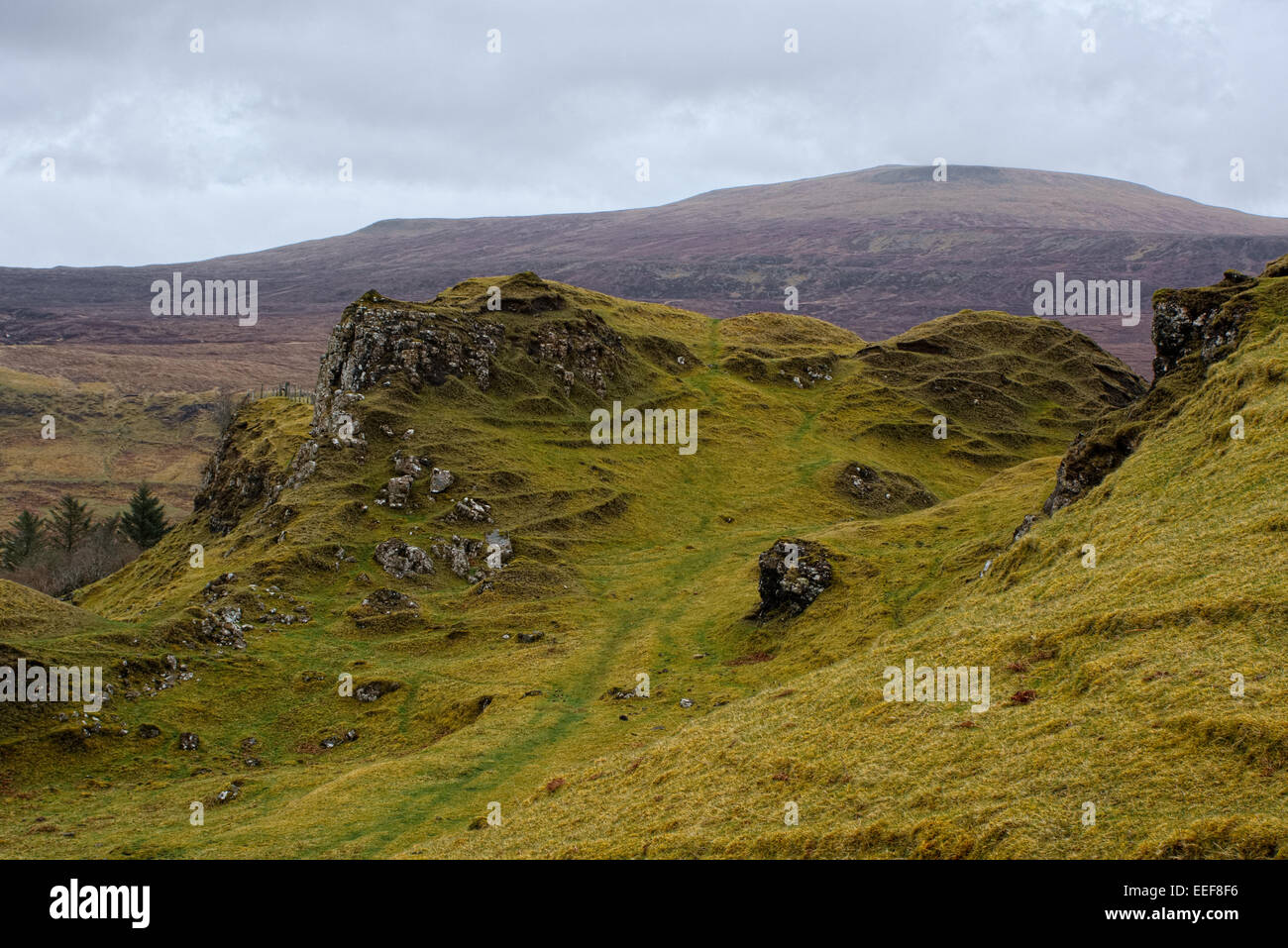 Isle of Skye, Inner Hebrides, Scotland Stock Photo - Alamy