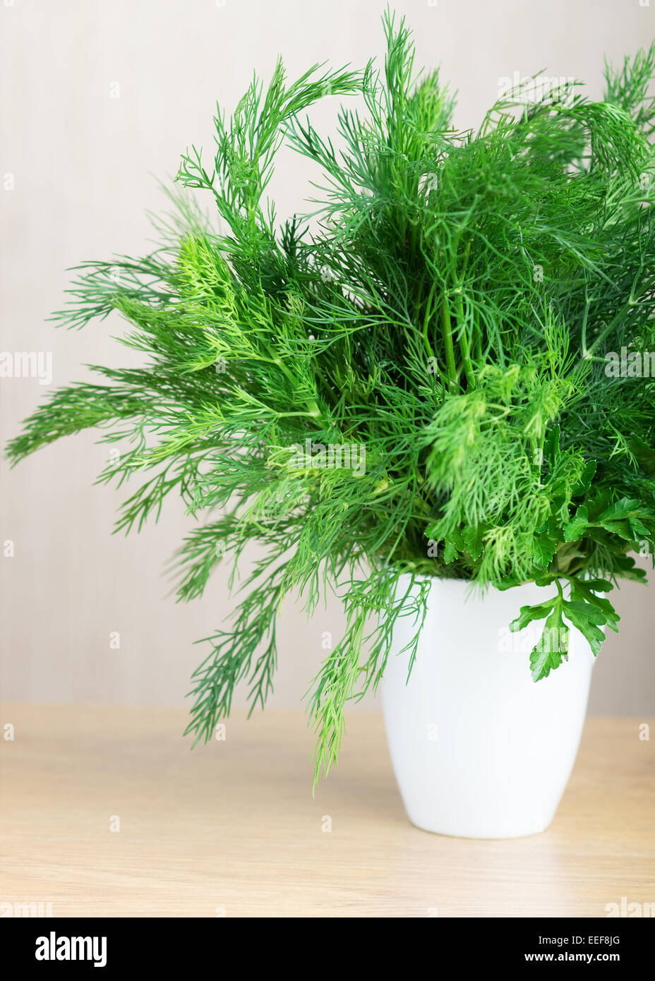 Bunch fresh dill Stock Photo - Alamy