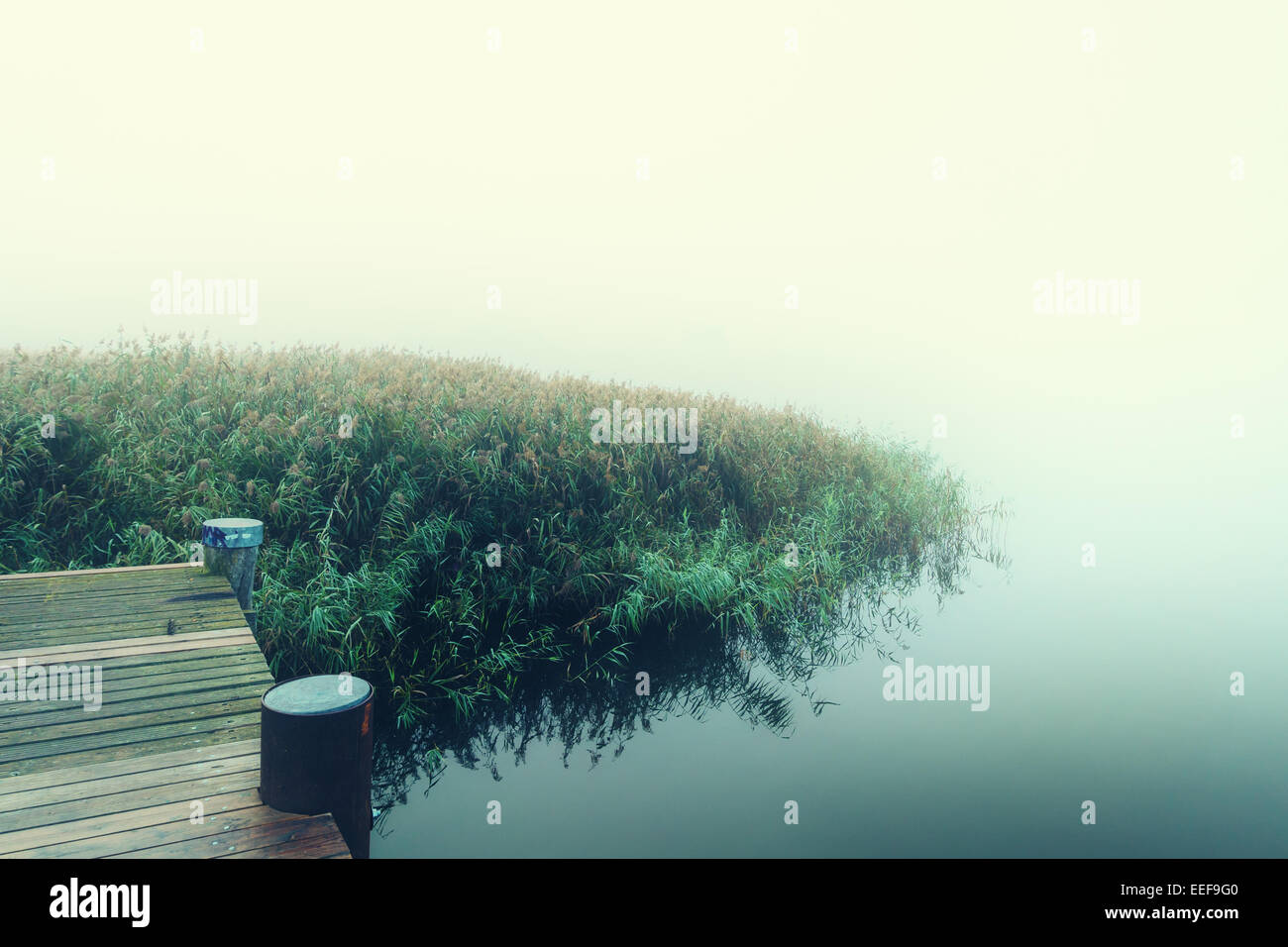 Fog and a river hi-res stock photography and images - Alamy