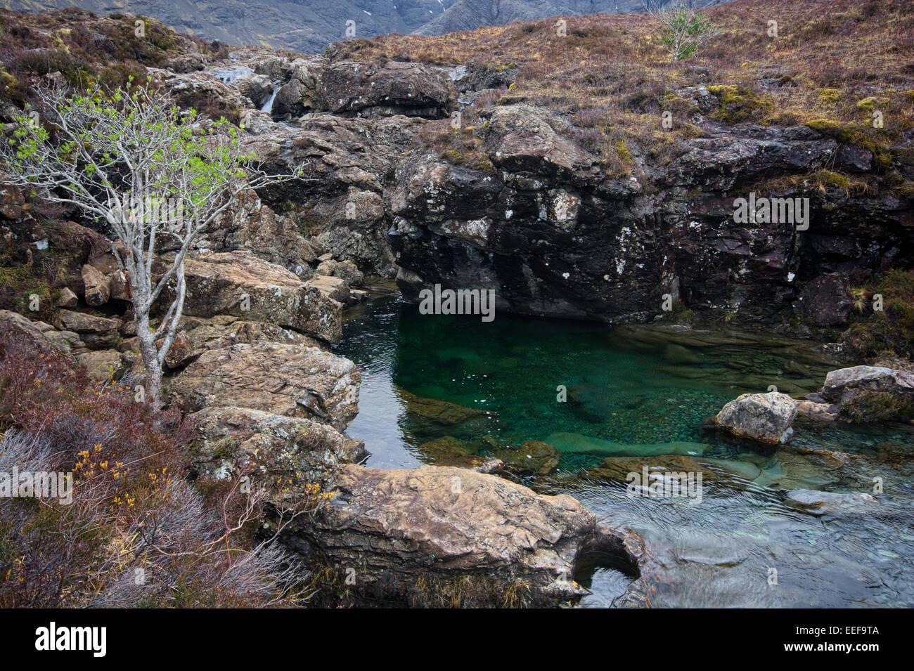 Isle of Skye, Inner Hebrides, Scotland Stock Photo - Alamy