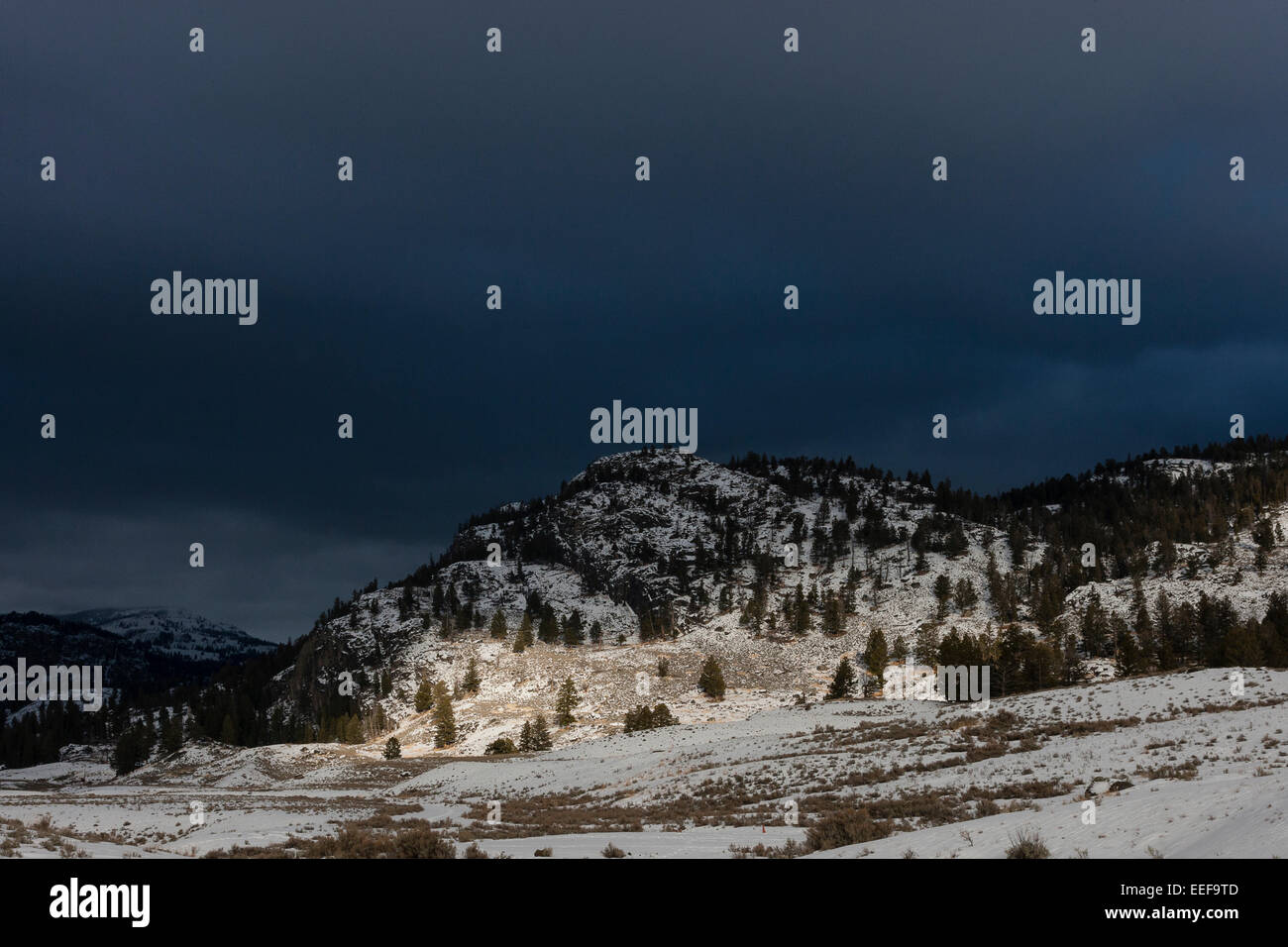 YELLOWSTONE, USA Hills of Yellowstone in dappled late afternoon light ...
