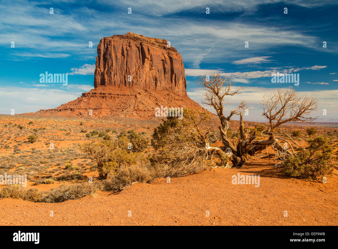 East Mitten Butte, Monument Valley Navajo Tribal Park, Arizona, USA ...