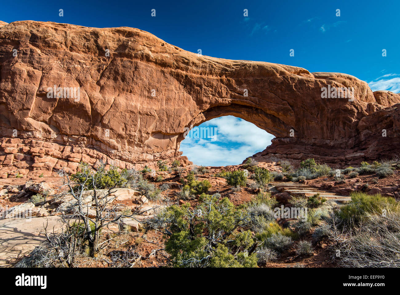 The north window hi-res stock photography and images - Alamy