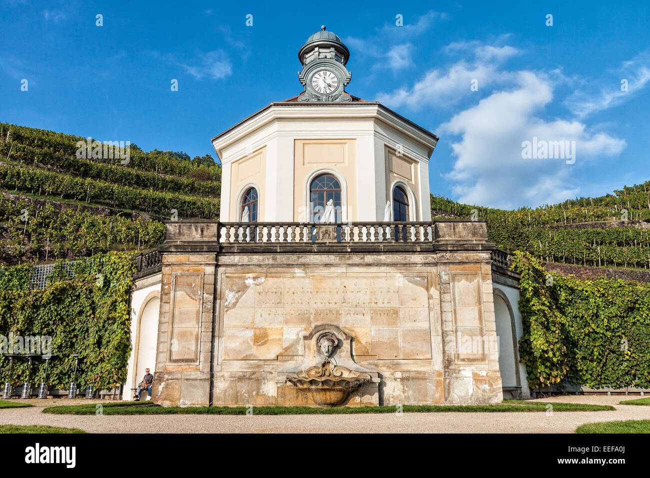 Pavilon and vineyard in Radebeul (Germany Stock Photo - Alamy