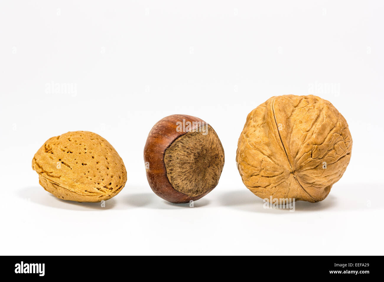 Three nuts with white background Stock Photo - Alamy