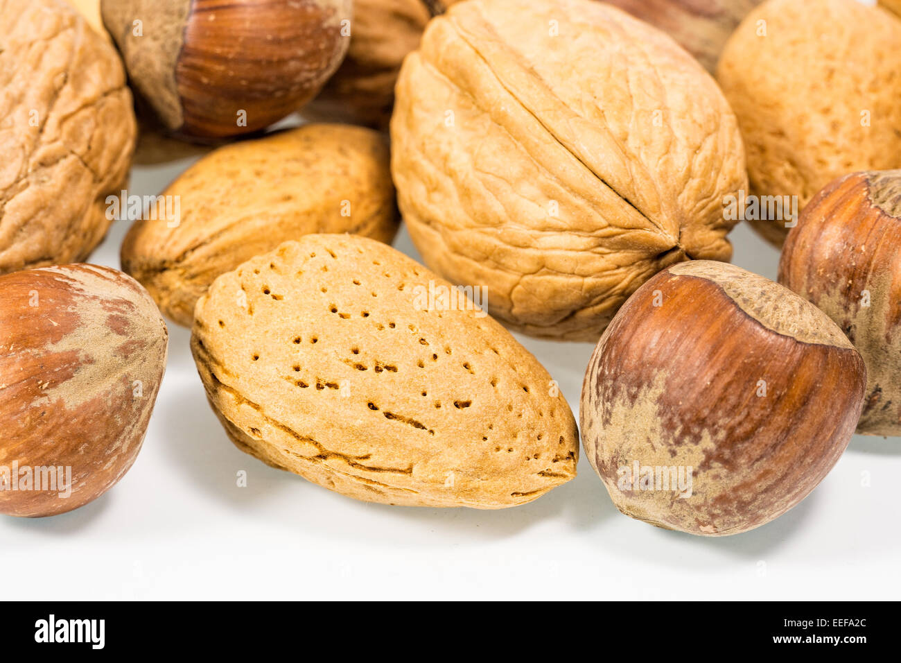 Nuts with white background Stock Photo - Alamy