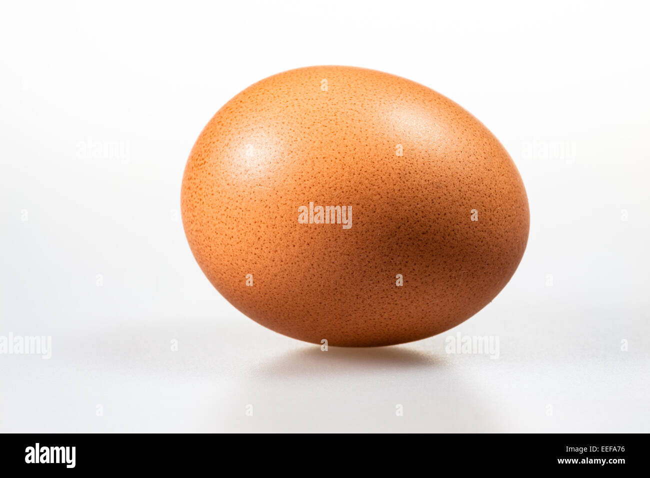An egg isolated with white background Stock Photo - Alamy