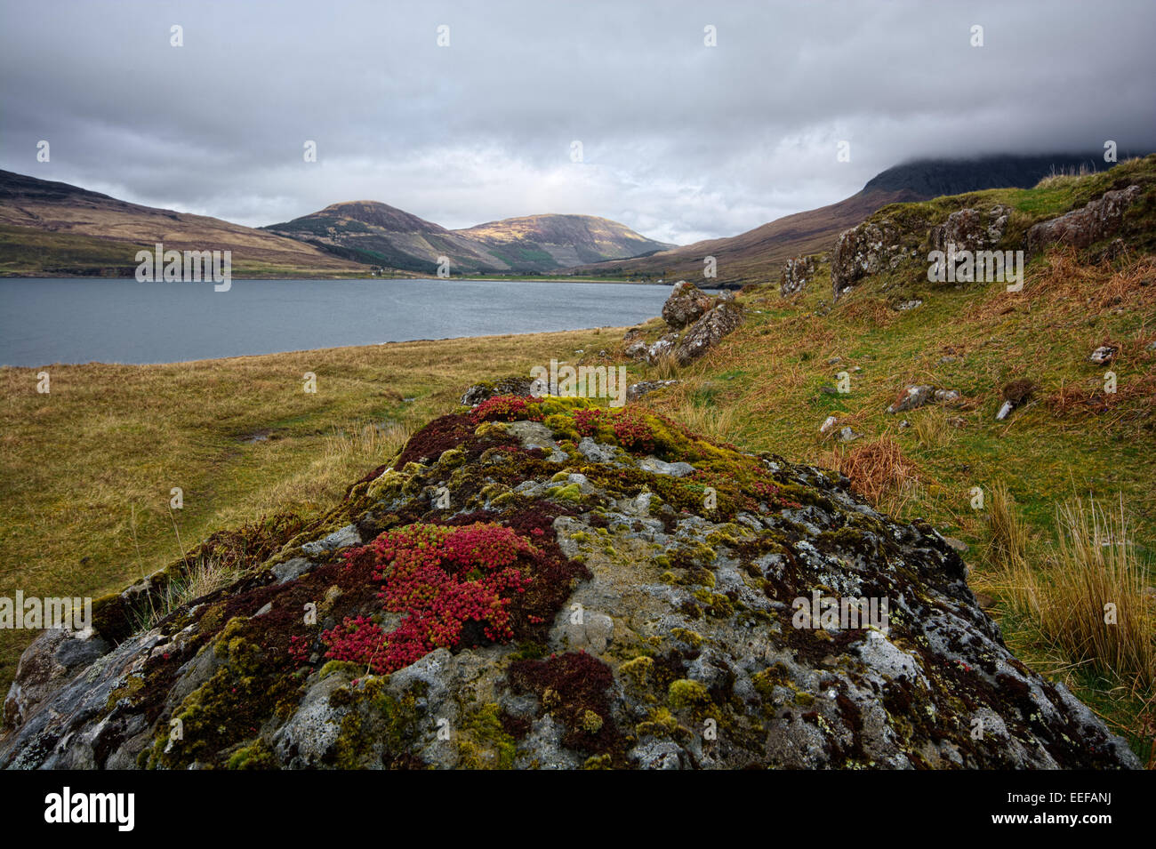 Isle of Skye, Inner Hebrides, Scotland Stock Photo - Alamy