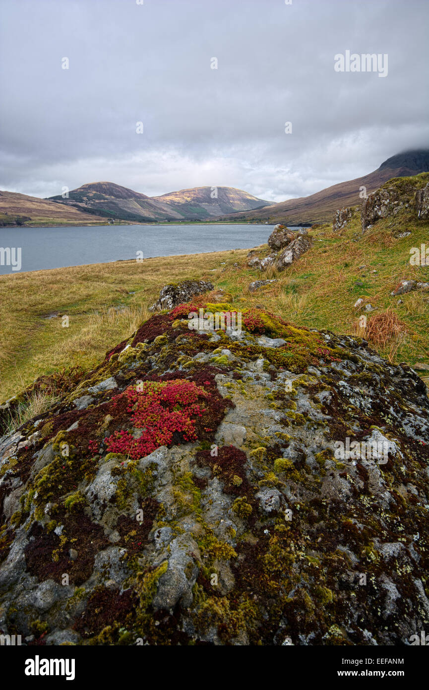 Isle of Skye, Inner Hebrides, Scotland Stock Photo - Alamy