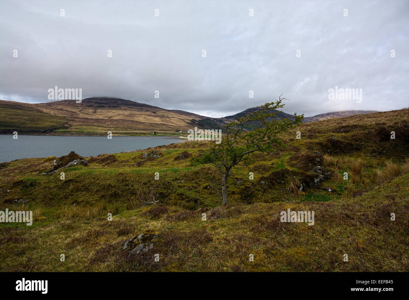 Isle of Skye, Inner Hebrides, Scotland Stock Photo - Alamy