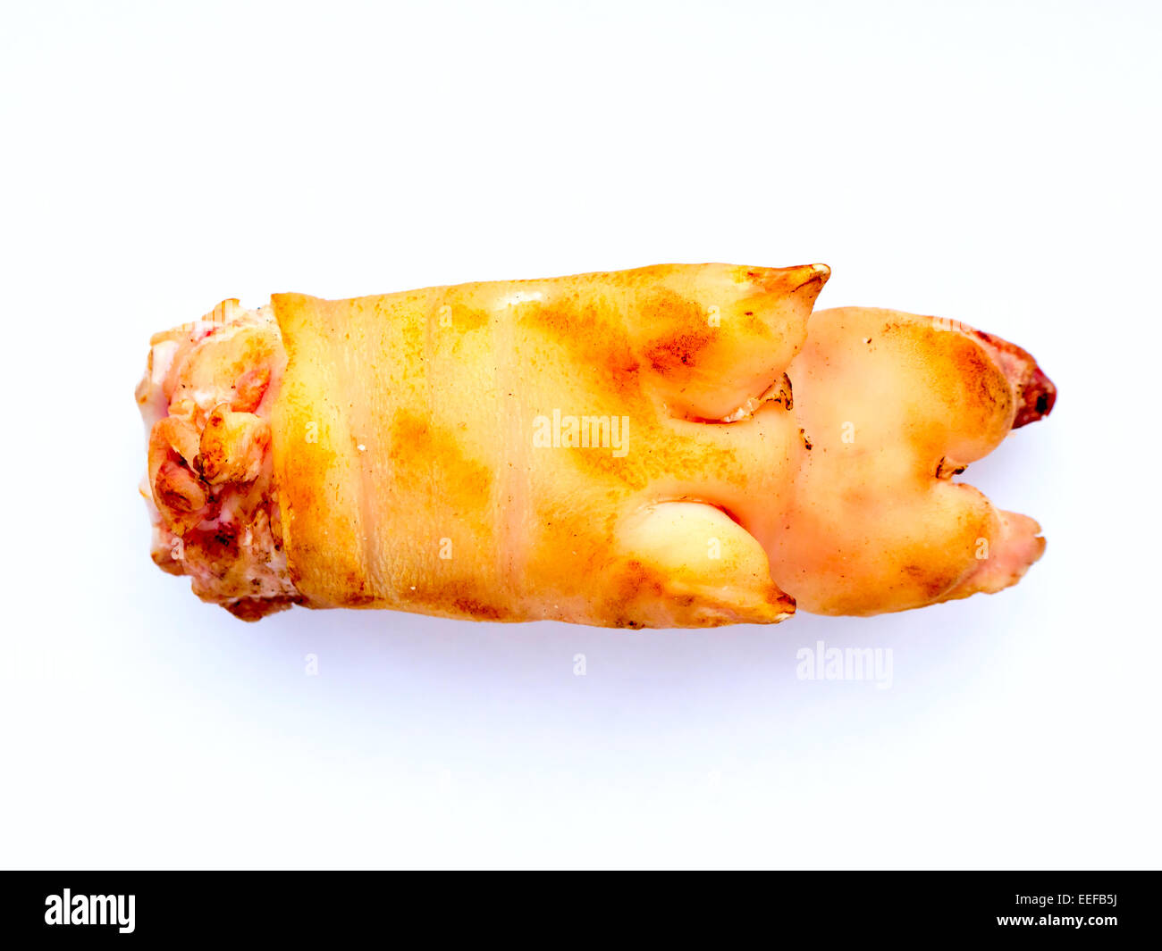 Raw pork leg Stock Photo - Alamy