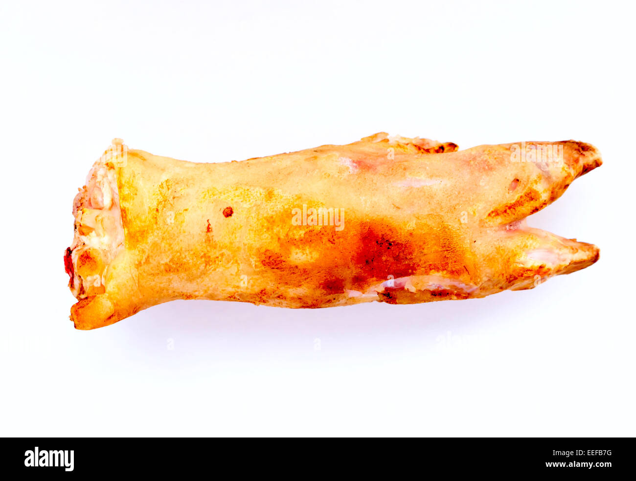 Raw pork leg Stock Photo - Alamy