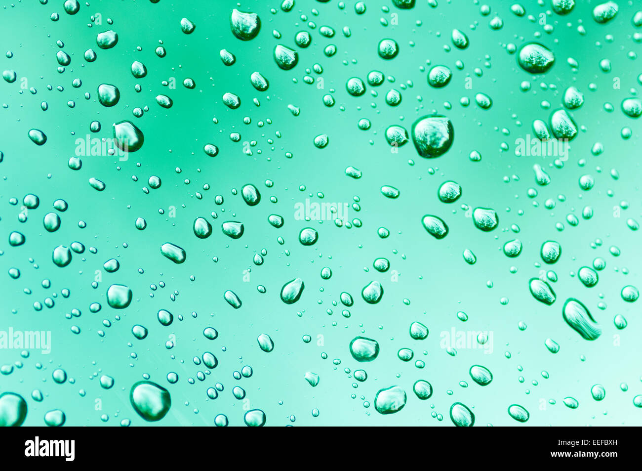 Water droplets on clear glass reflect ambient light producing ...