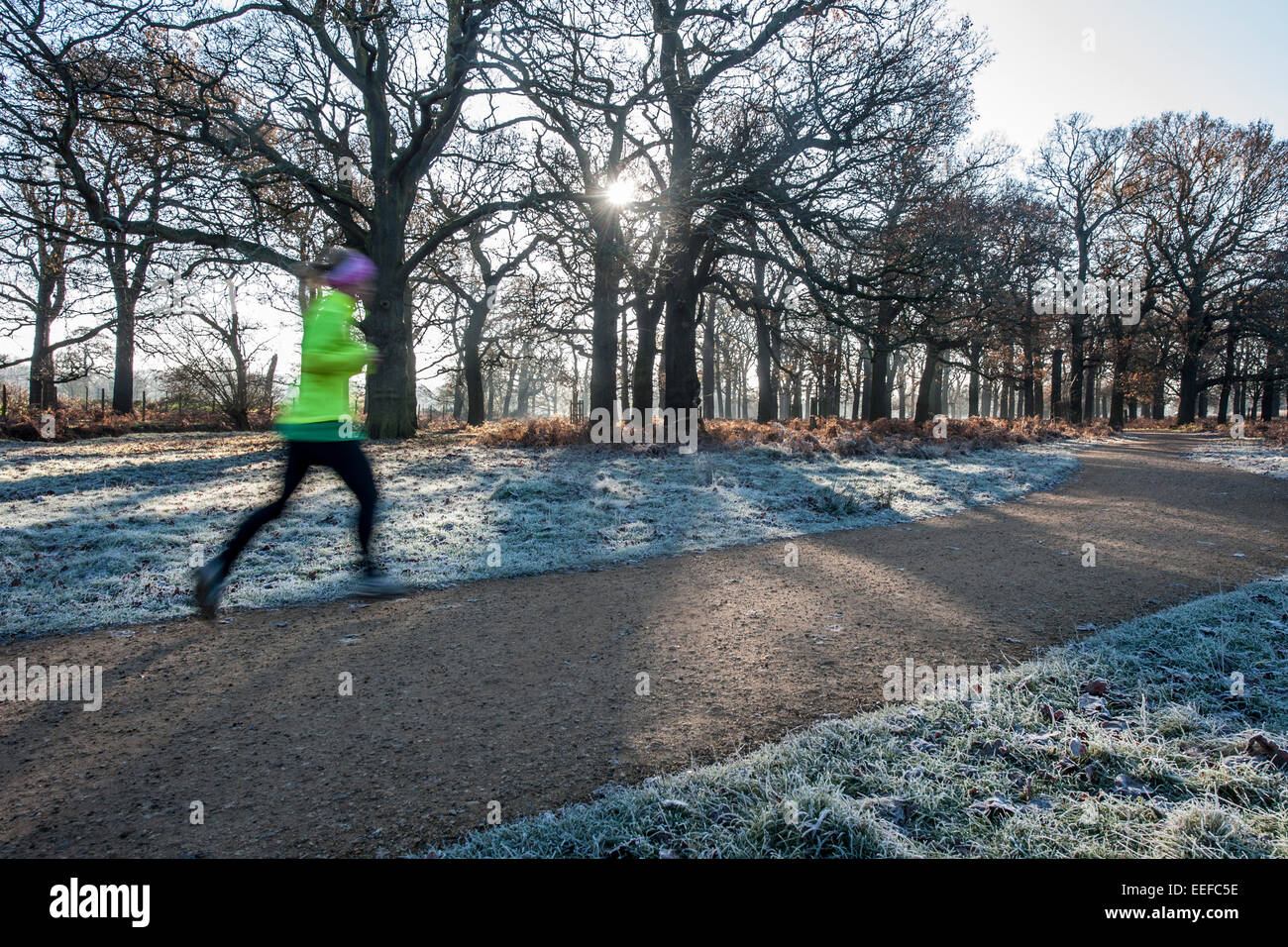 Keeping fit in a frosty cold Richmond Park in London Stock Photo - Alamy
