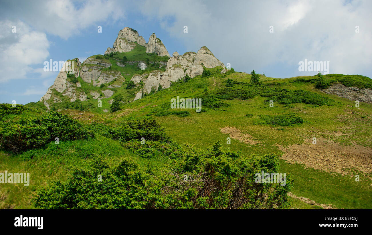 Summer in romania mountains hi-res stock photography and images - Alamy