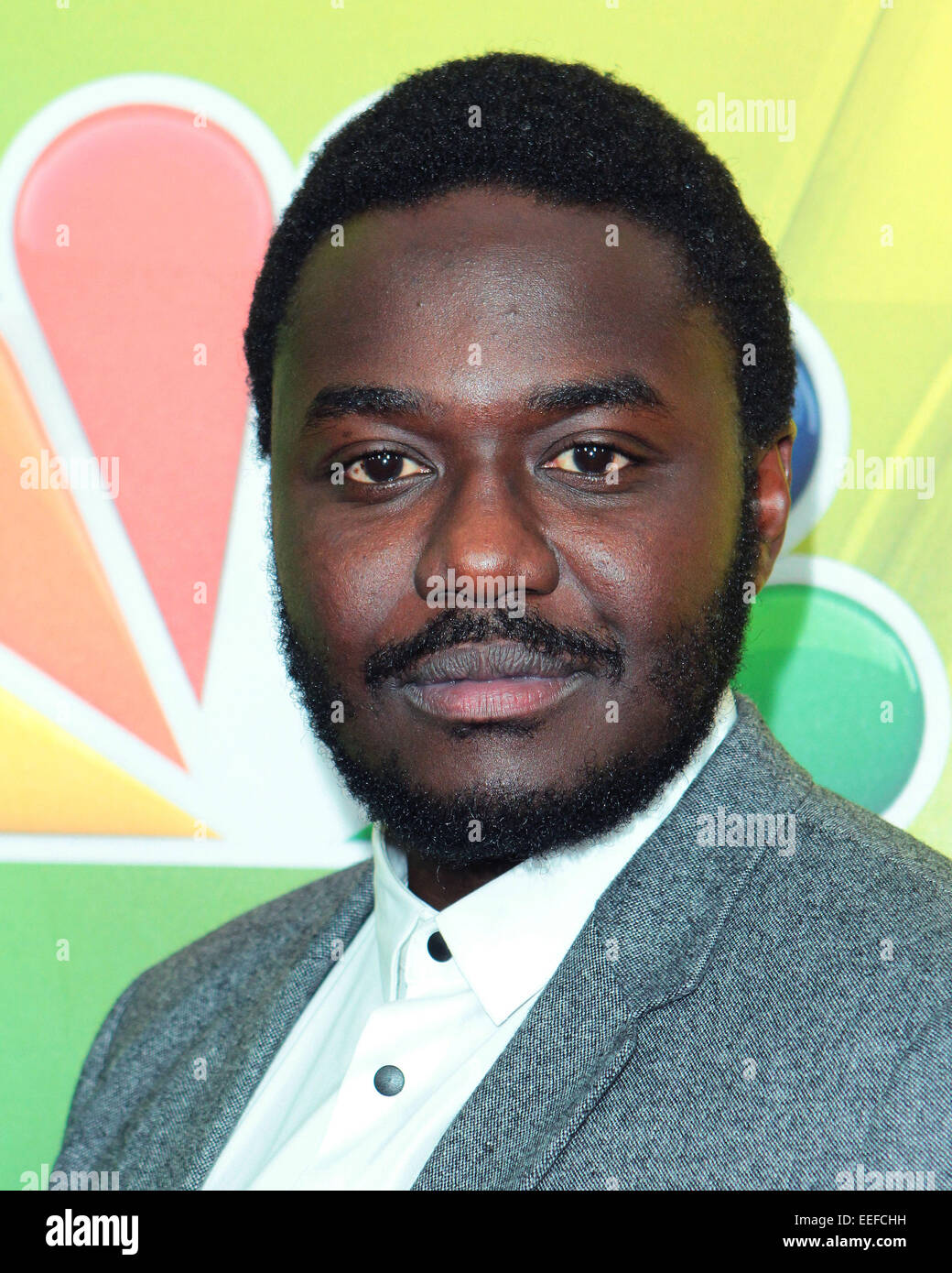 Los Angeles, California, USA. 16th Jan, 2015. Babou Ceesay attends ...
