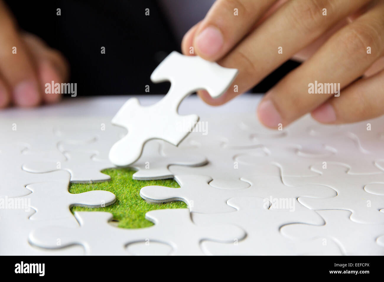 Hand embed missing puzzle piece into place, green space concept Stock ...
