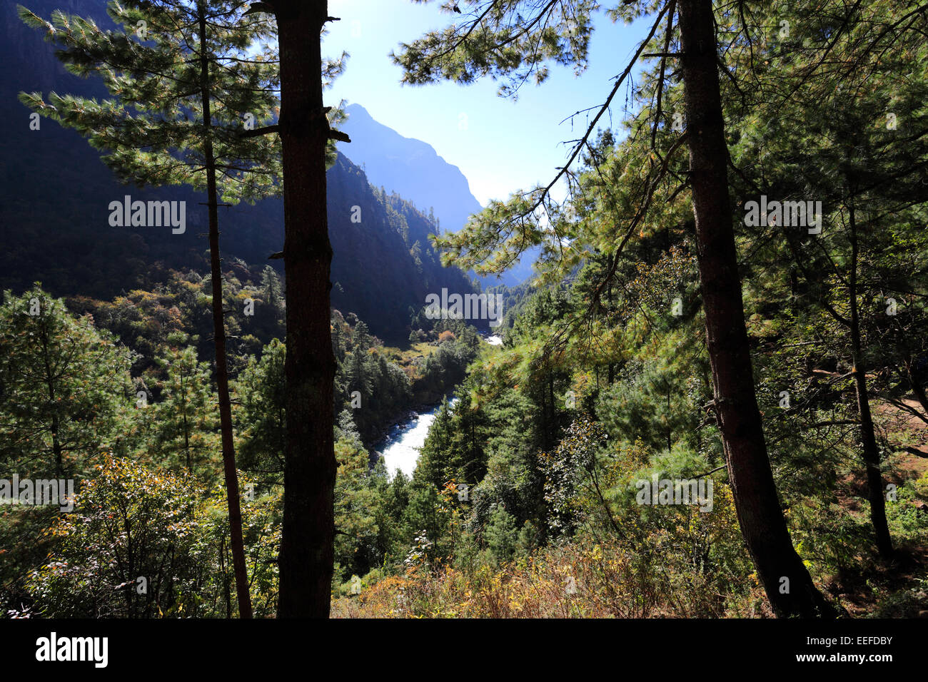 The Dudh Koshi river valley at Jarsale village on the Everest base camp ...