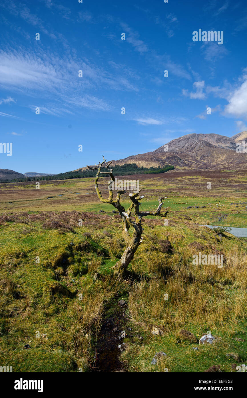 Isle of Skye, Inner Hebrides, Scotland Stock Photo - Alamy