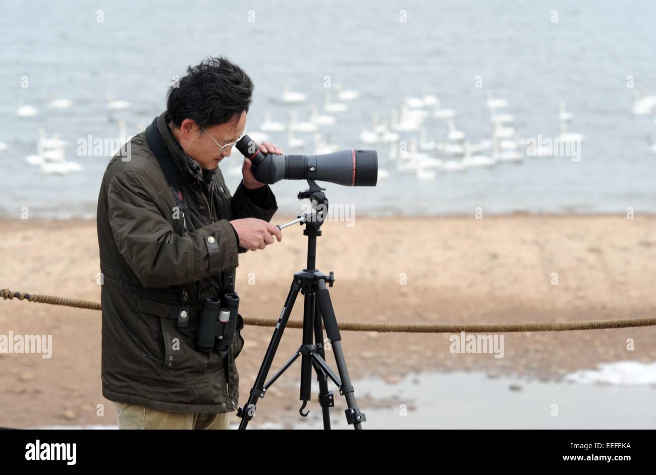 Zhengzhou, China. 17th Jan, 2015. A wild animal protector observes ...