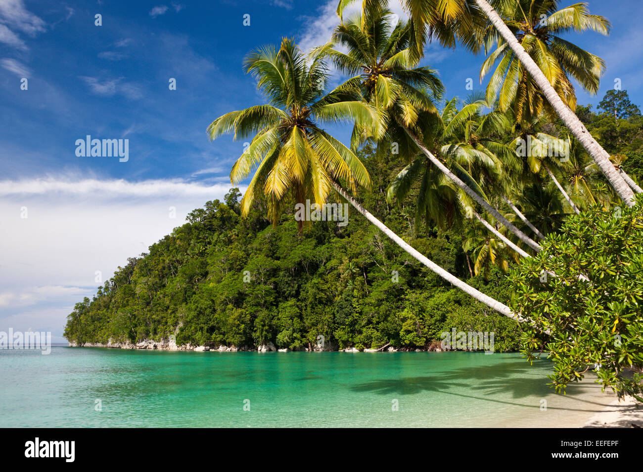 Papua new guinea landscape hi-res stock photography and images - Alamy
