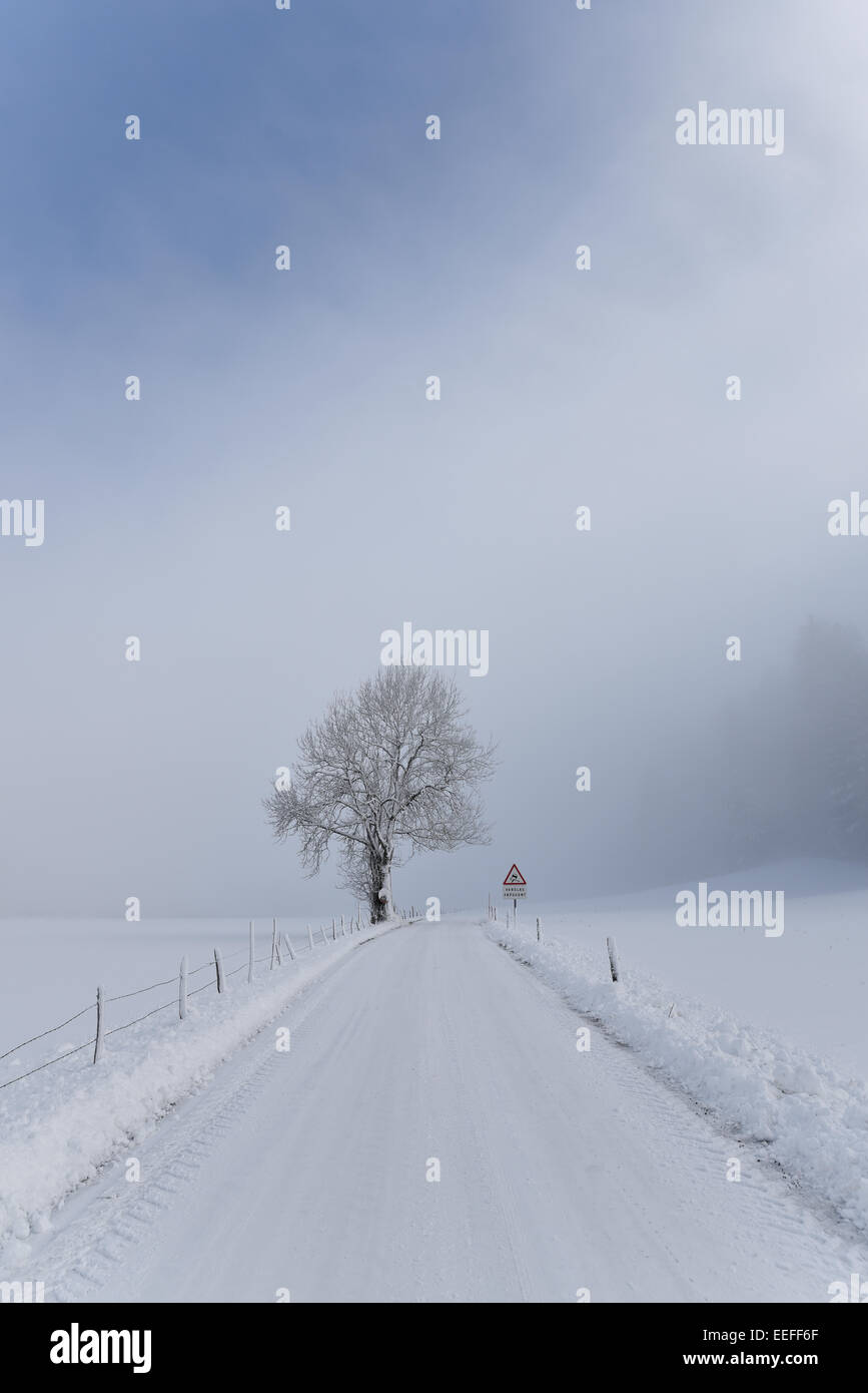 road in the snowy countryside Stock Photo - Alamy