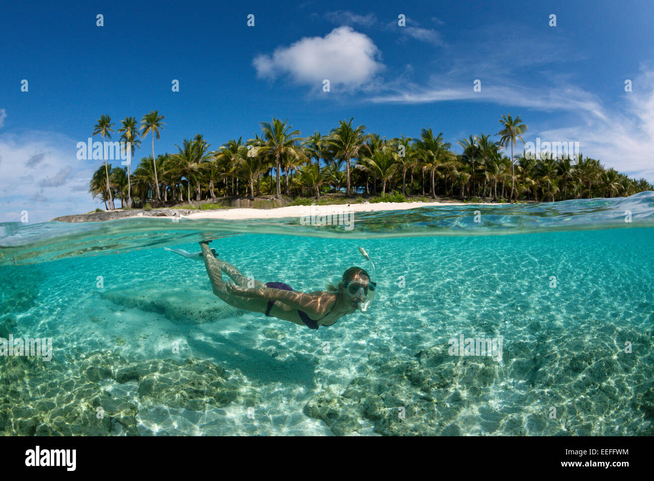 Snorkeling off palm-lined Island, Fadol, Kai Islands, Moluccas Stock ...