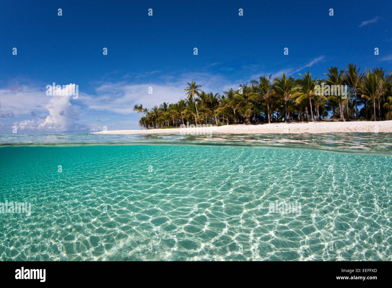 Lagoon off palm-lined Island, Fadol, Kai Islands, Moluccas, Indonesia ...